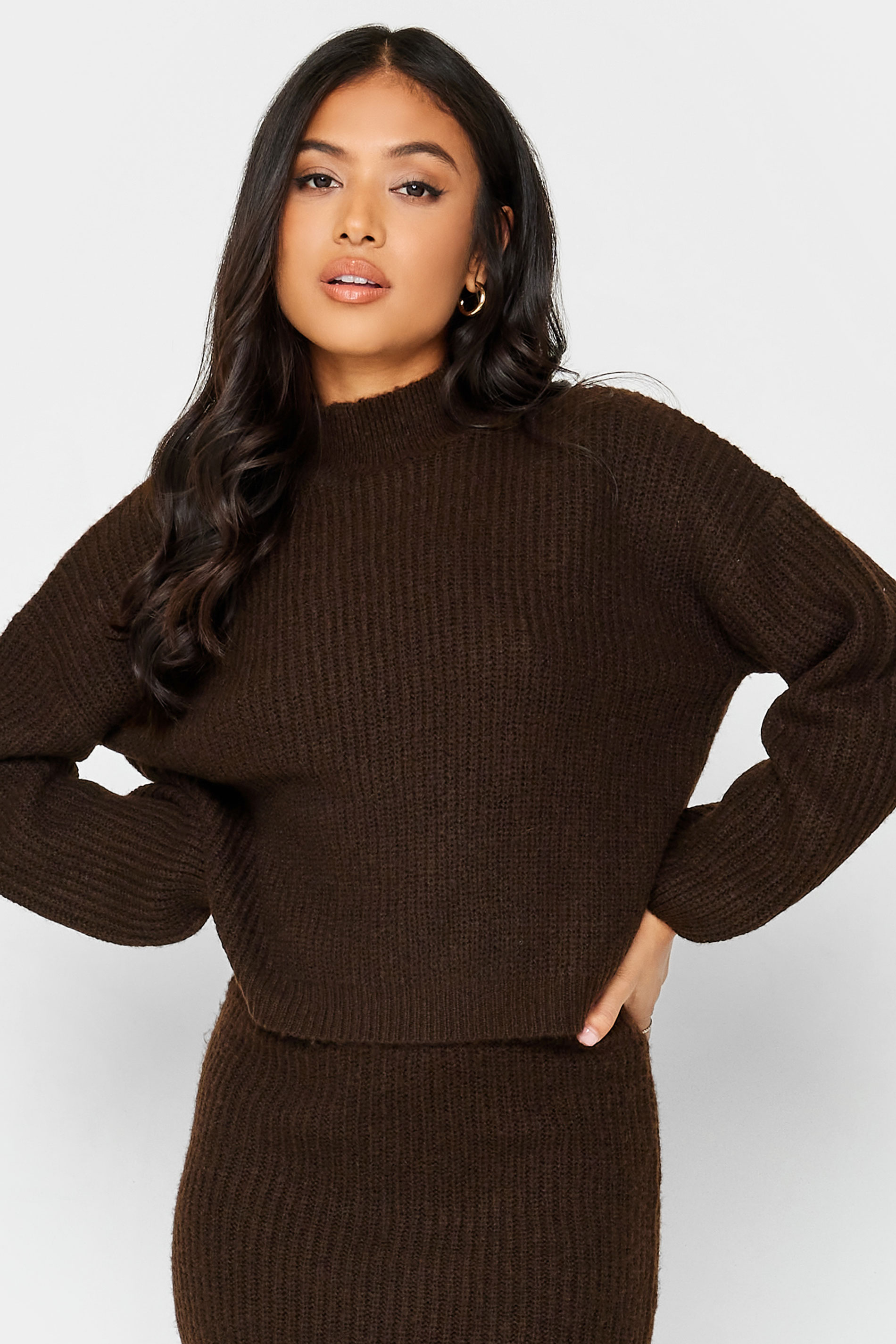 PixieGirl Petite Womens Brown Funnel Neck Jumper | PixieGirl